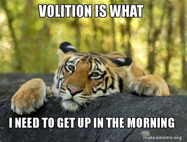Volition is what I need to get up in the morning - Confession Tiger ...