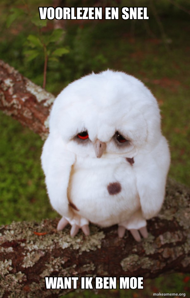 voorlezen en snel want ik ben moe - Sad Owl Meme Generator
