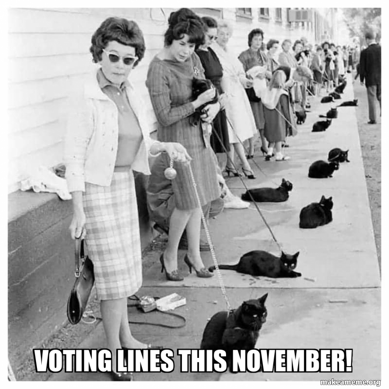 voting lines this November! Meme Generator