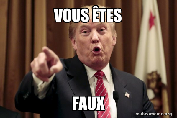 Vous êtes faux - Donald Trump Says Meme Generator