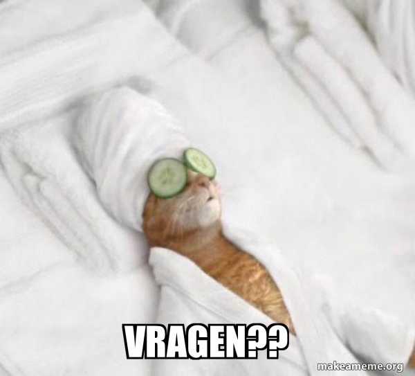 VRagen?? - Pampered Cat Meme Meme Generator