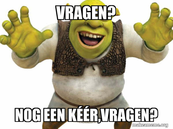 vragen? nog een kéér,VRAGEN? - Shrek Meme Generator