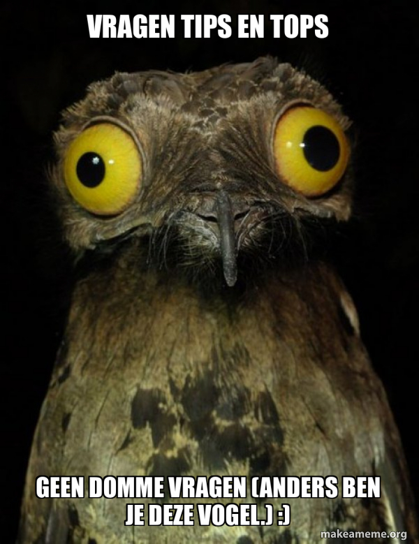 vragen tips en tops geen domme vragen (anders ben je deze vogel ...