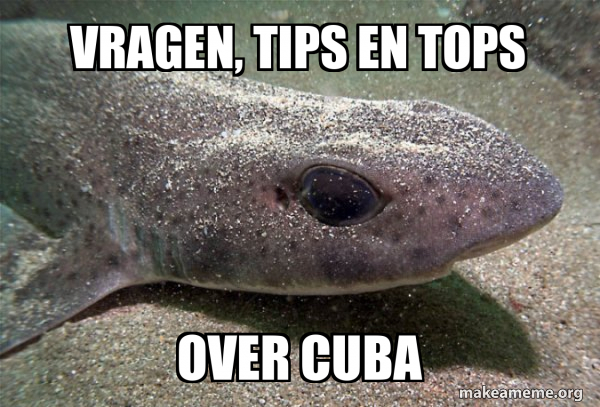 vragen, tips en tops over Cuba - Dirty Joke Dogfish Meme Generator