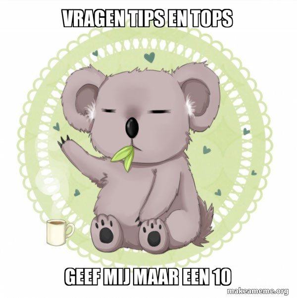 vragen tips en tops geef mij maar een 10 - Aussie Koala doing the night ...