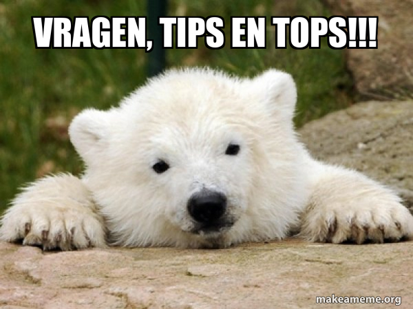 Vragen, tips en tops!!! - Popular Opinion Bear Meme Generator