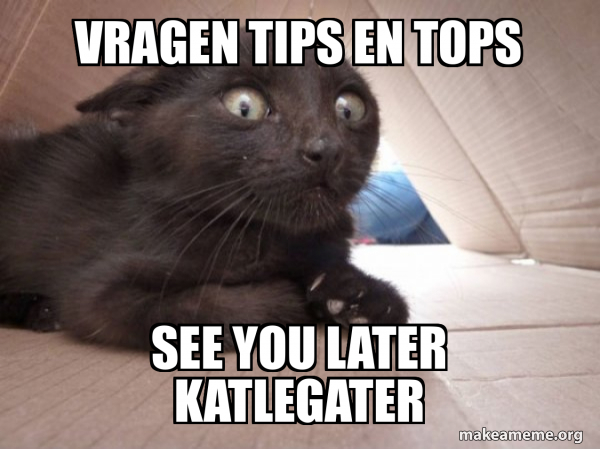 vragen tips en tops see you later katlegater - Schitzo Cat Meme Generator