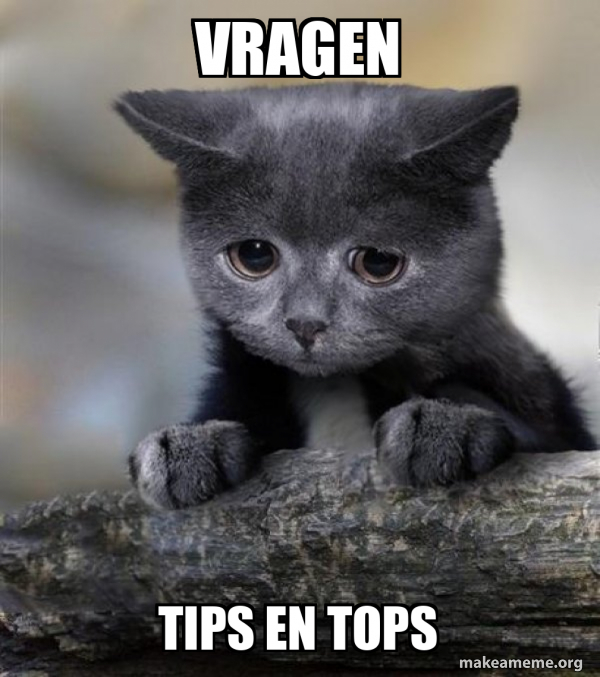 vragen tips en tops - Confession Cat Meme Generator
