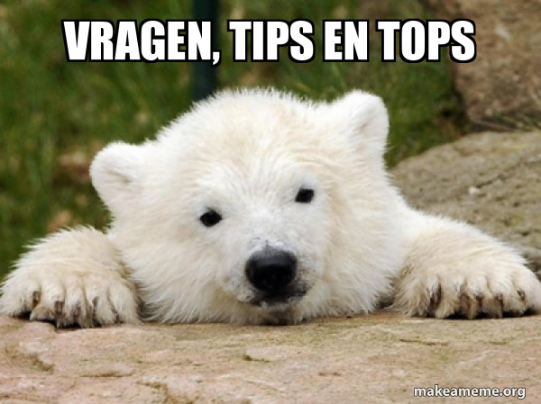 vragen, tips en tops - Popular Opinion Bear Meme Generator