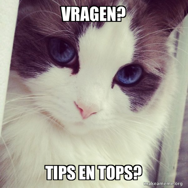 vragen? tips en tops? - Ridiculously Photogenic Cat Meme Generator