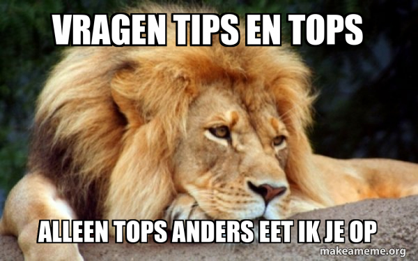 Vragen tips en tops Alleen tops anders eet ik je op - Confession Lion ...
