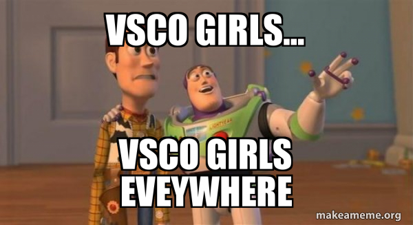 vsco girls... vsco girls eveywhere - Buzz and Woody (Toy Story) Meme ...