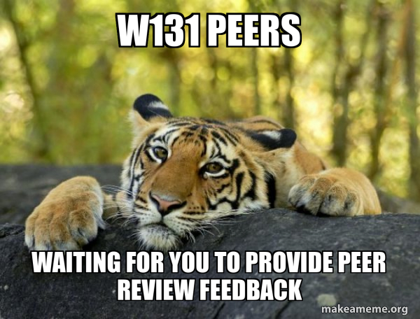 W131 peers Waiting for you to provide peer review feedback - Confession ...