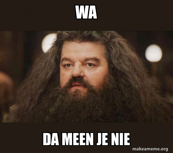 wa da meen je nie - Hagrid - I should not have said that Meme Generator
