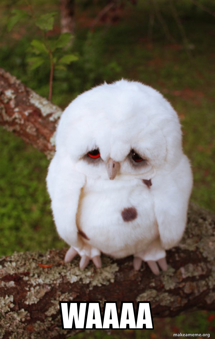 Waaaa - Sad Owl Meme Generator