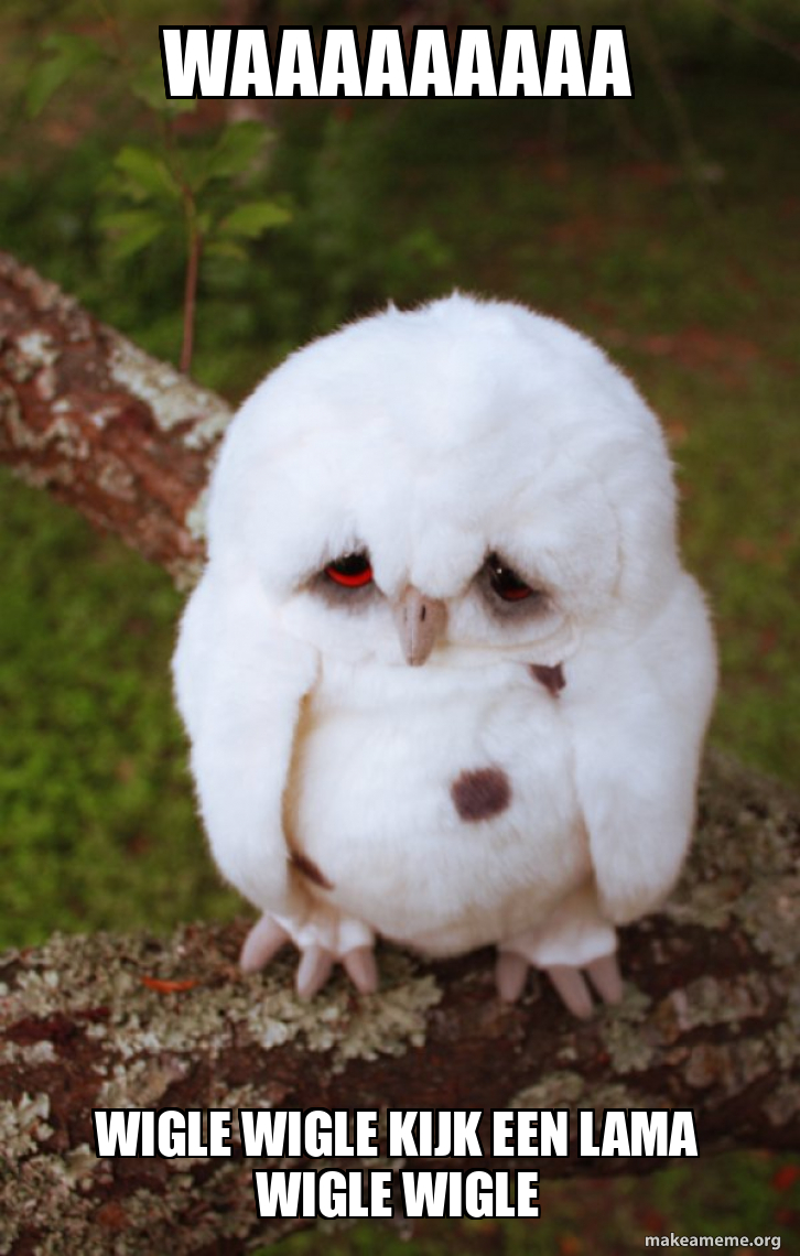 waaaaaaaaa wigle wigle kijk een lama wigle wigle - Sad Owl Meme Generator