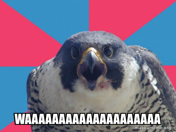 WAAAAAAAAAAAAAaAAAAAA - Millennial Falcon Meme Generator