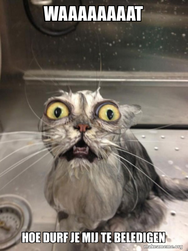 waaaaaaaat hoe durf je mij te beledigen - Cat bath Meme Generator