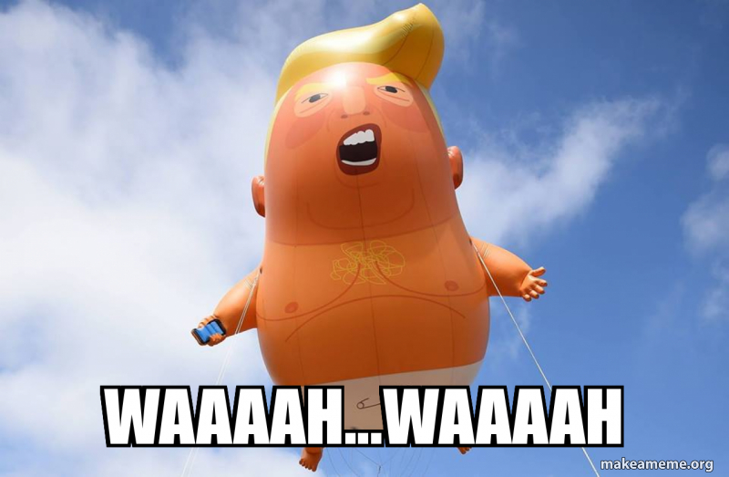 waaaah...waaaah Meme Generator