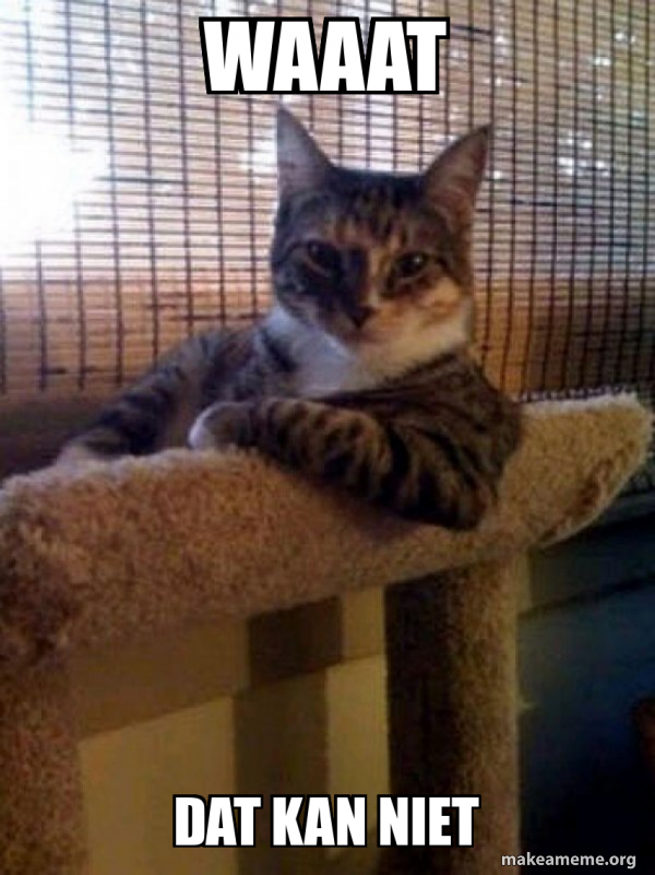waaat dat kan niet - The Most Interesting Cat in the World Meme Generator