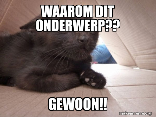 Waarom dit onderwerp?? Gewoon!! - Schitzo Cat Meme Generator
