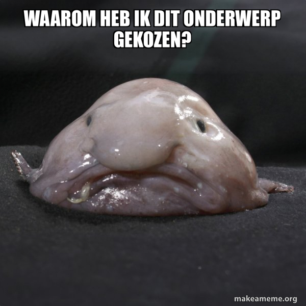 waarom heb ik dit onderwerp gekozen? - Blobfish Meme Generator