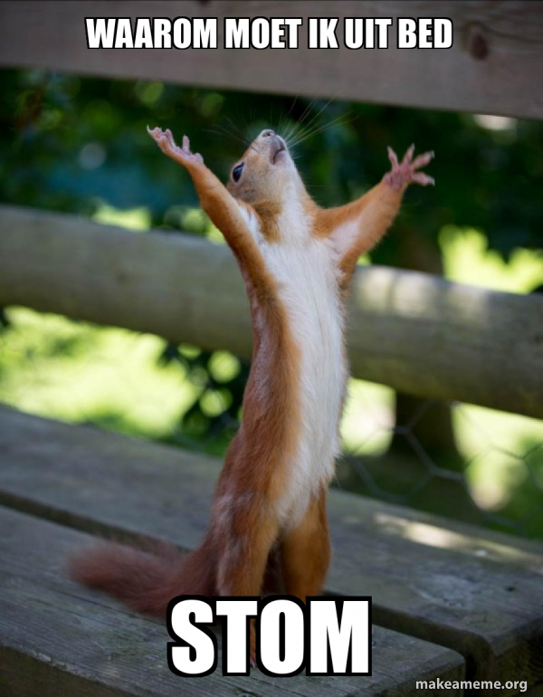 waarom moet ik uit bed stom - Happy Squirrel Meme Generator