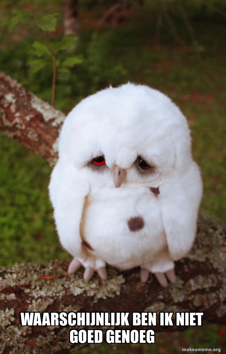 Waarschijnlijk ben ik niet goed genoeg - Sad Owl Meme Generator