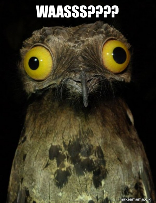 Waasss???? - Weird Stuff I do Potoo Meme Generator