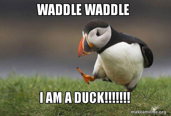 waddle waddle I AM A DUCK!!!!!!! - Unpopular Opinion Puffin Meme Generator