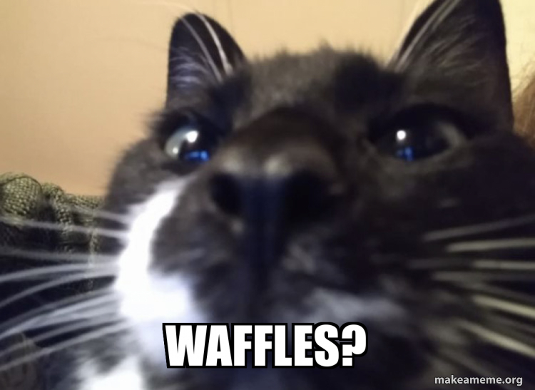 waffles? Meme Generator