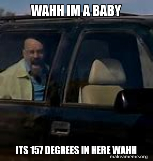 Wahh Im A Baby Its 157 Degrees In Here Wahh Meme Generator