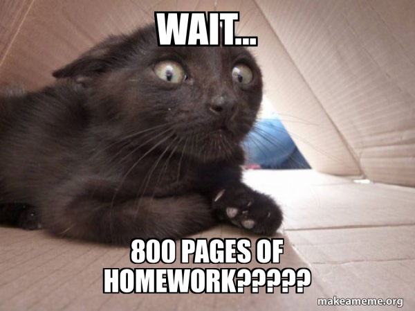 Wait... 800 pages of homework????? - Schitzo Cat Meme Generator