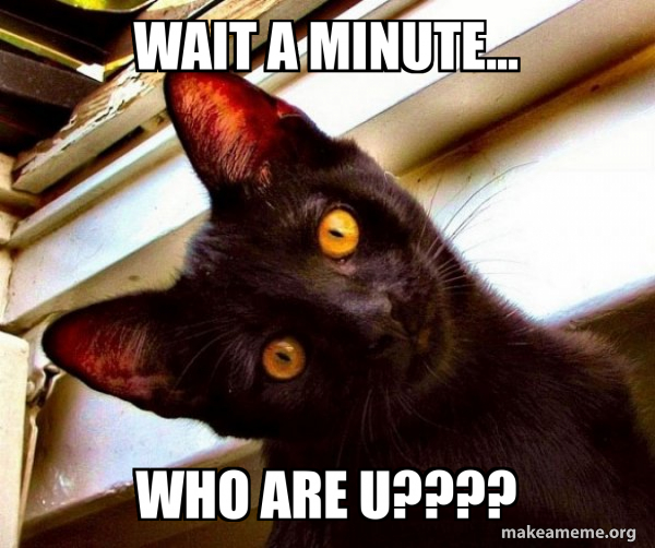 Wait a minute... WHO ARE U???? - Overly Attached Cat Meme Generator