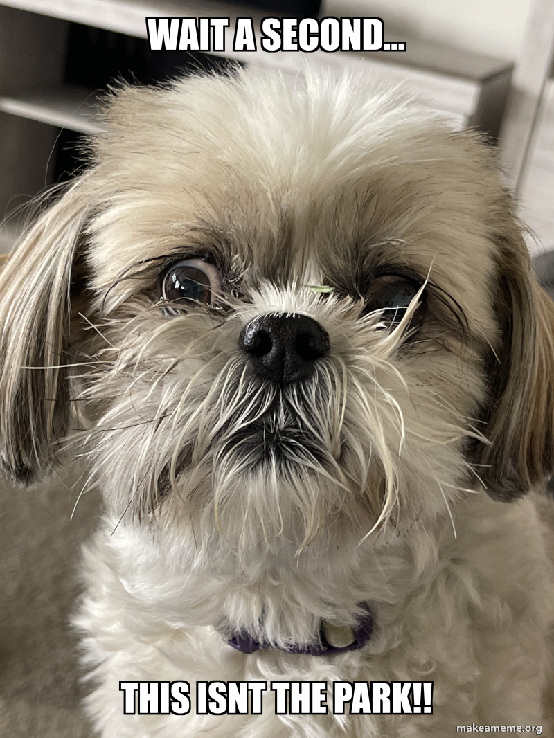 Wait a second... This isnt the park!! Meme Generator