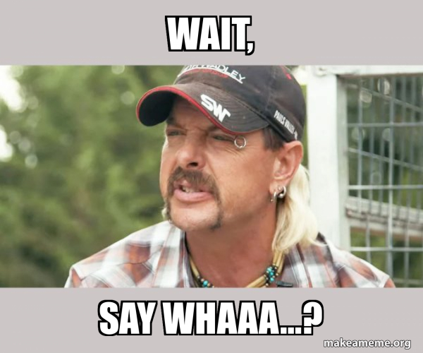 WAIT, Say Whaaa...? - Joe Exotic - Tiger King Meme Generator