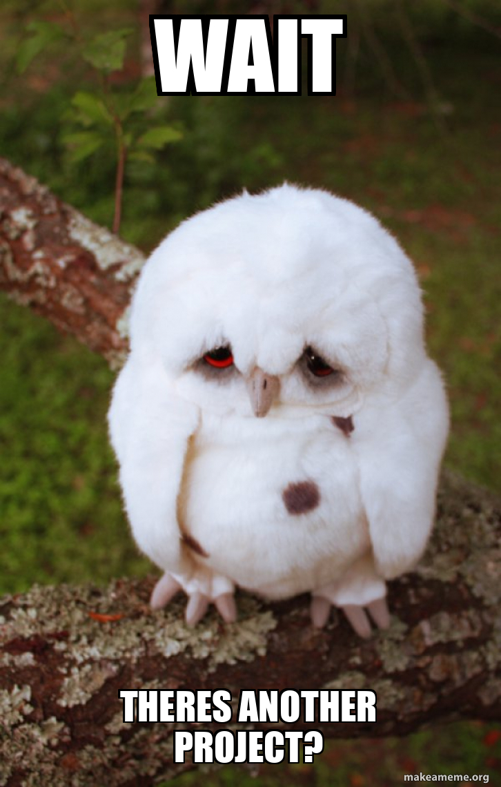 wait theres another project? - Sad Owl Meme Generator