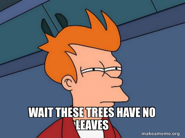 wait these trees have no leaves - Futurama Fry Meme Generator