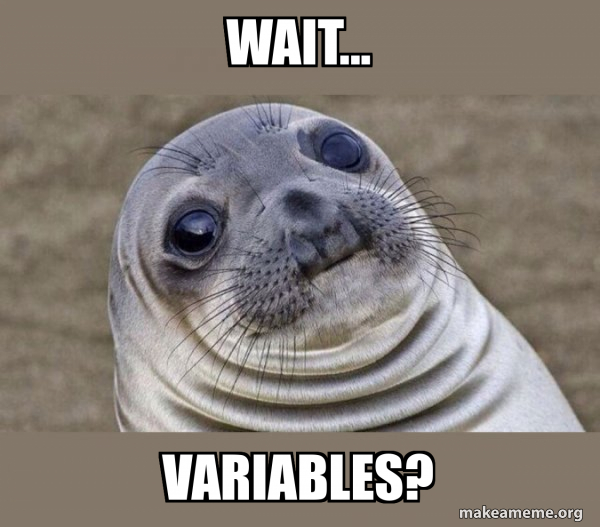 wait... variables? - Squeamish Seal Meme Generator