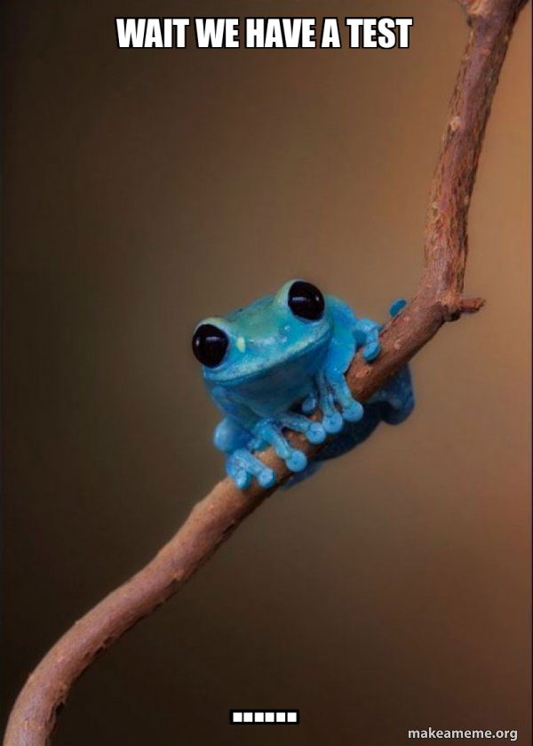 wait we have a test ...... - Small Fact Frog Meme Generator