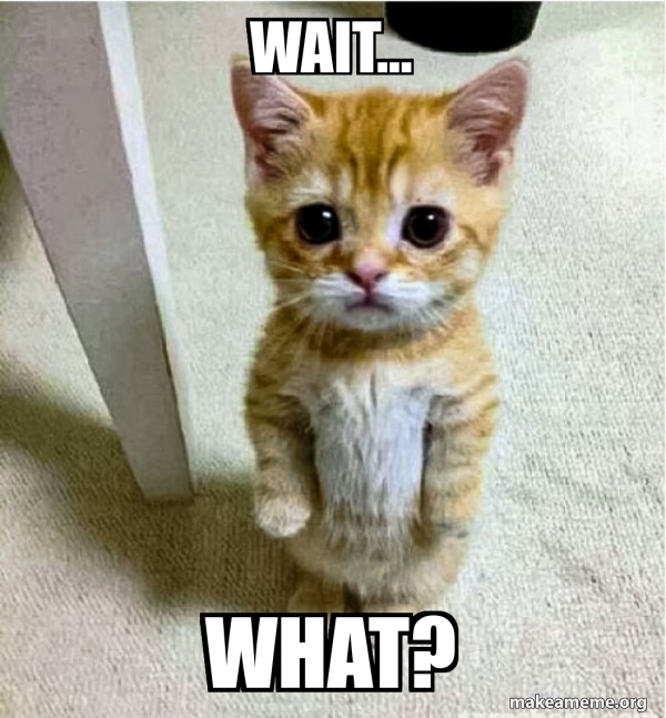 Wait... What? - Cute Cat Standing Meme Generator