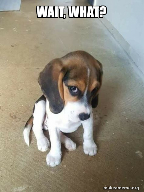 Wait, what? Meme Generator