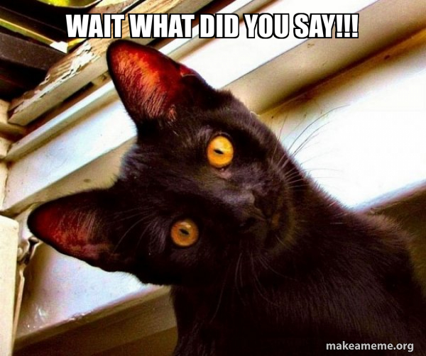 wait what did you say!!! - Overly Attached Cat Meme Generator