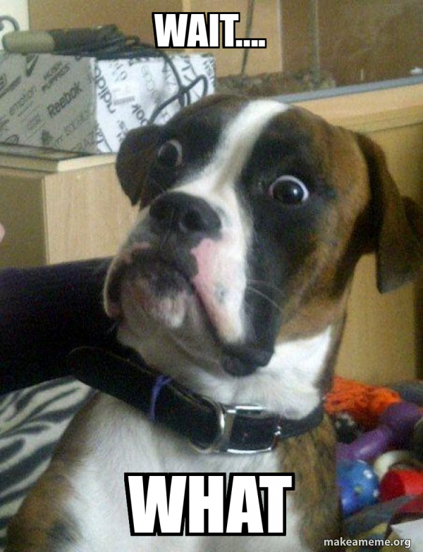 wait.... WHAT - Skeptical Dog Meme Generator