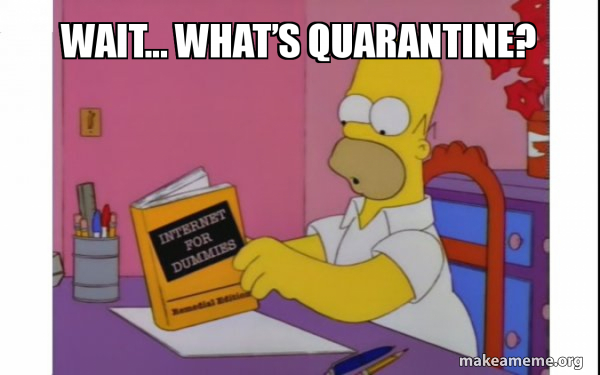 Wait... whatâ€™s quarantine? - Computer Homer Meme Generator