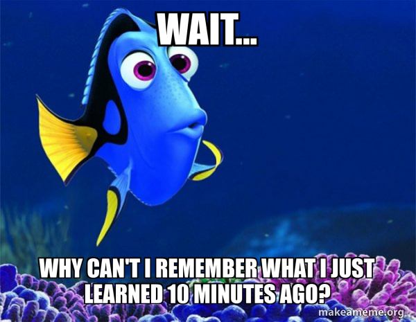 Wait... Why can't I remember what I just learned 10 minutes ago? - Dory ...
