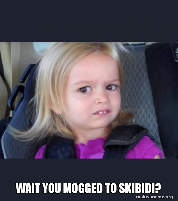 wait you mogged to skibidi? - Side-Eyes Chloe Meme Generator