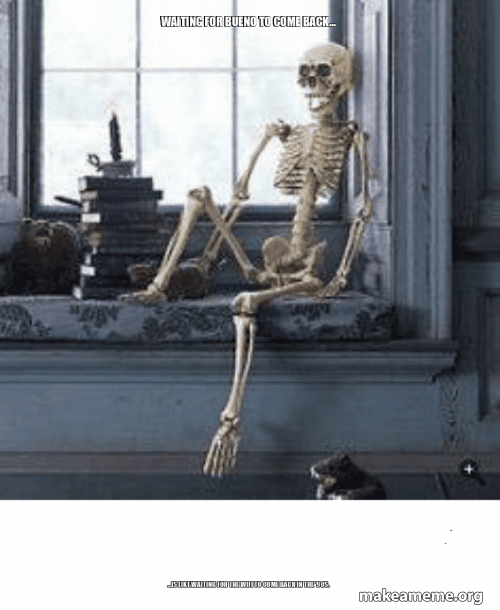 Waiting for Bueno to come back... ...is like waiting for the WiFi to ...