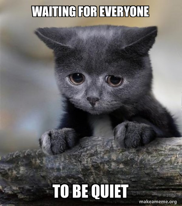 Waiting for everyone To be quiet - Confession Cat Meme Generator