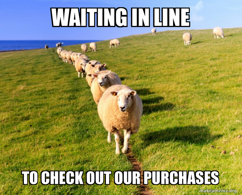 waiting in line to check out our purchases Meme Generator